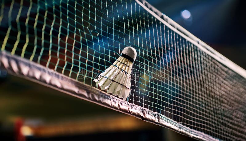 A Badminton Racket is Sitting on a Net Stock Illustration ...