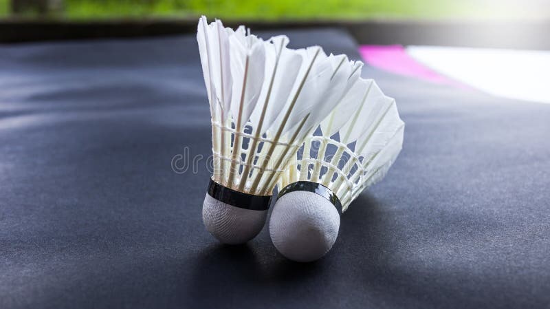 103 Badminton Shutter Stock Photos - Free & Royalty-Free Stock Photos ...