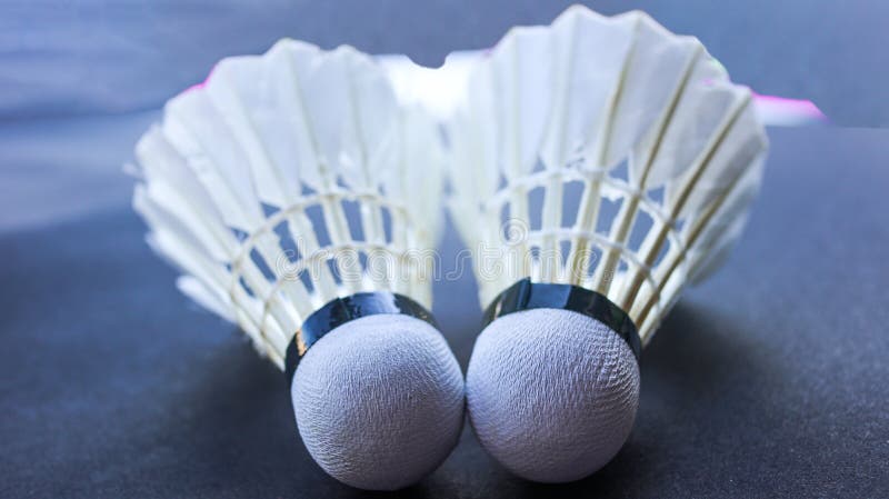 Badminton Shutter Stock Photos - Free & Royalty-Free Stock Photos from ...
