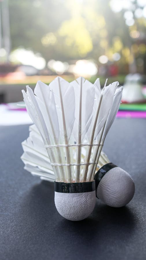 Badminton Shutter Stock Photos - Free & Royalty-Free Stock Photos from ...