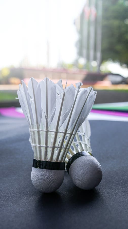 Badminton Shutter Stock Photos - Free & Royalty-Free Stock Photos from ...