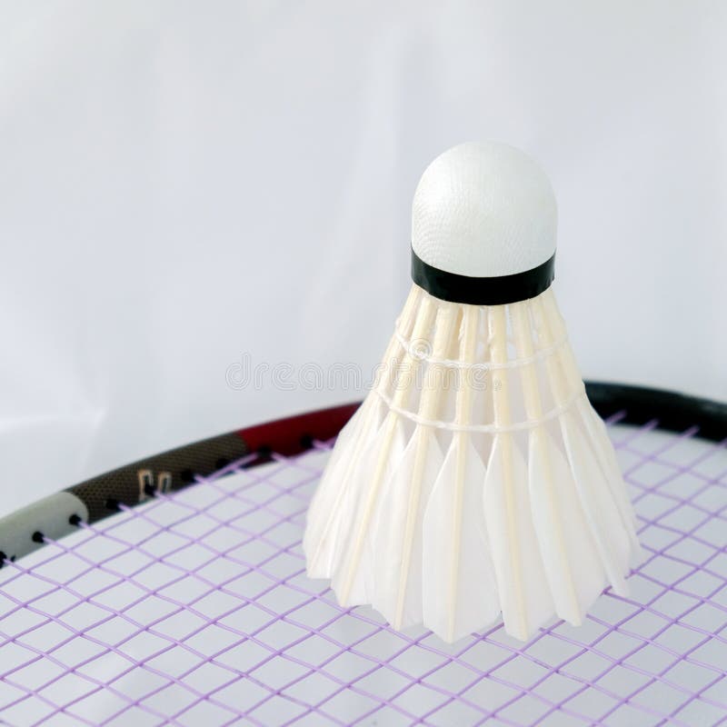 Badminton Shuttle. stock photo. Image of birdie, game - 56710636