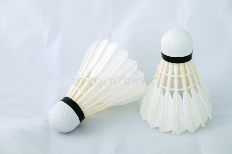 Badminton shuttle stock photo. Image of healthy, family - 2236764