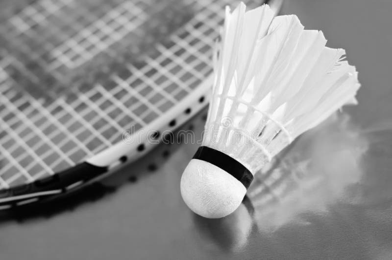 Badminton Shuttlecock and Racket. Goose Feather Shuttlecocks. High ...