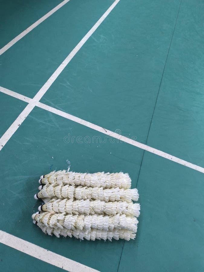 Badminton Shuttlecocks on Court. Stock Photo - Image of used, court ...