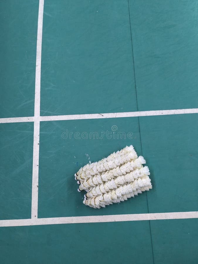 Badminton Shuttlecocks on Court. Stock Photo - Image of badminton ...