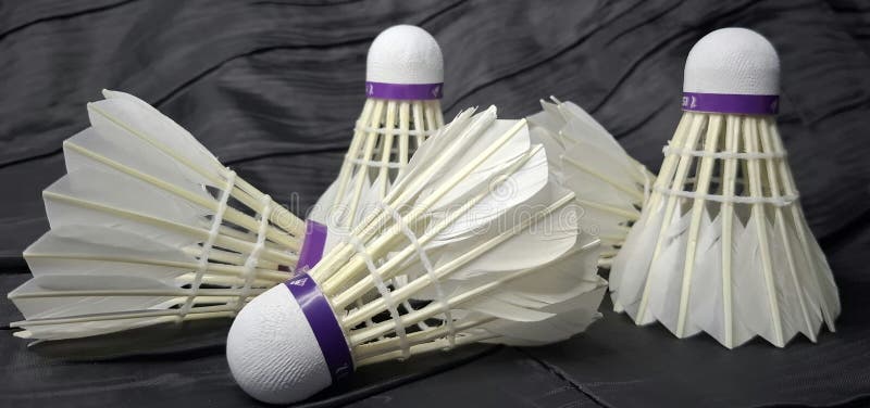 Badmintoon Shuttlecocks with White Feather and Purple Round Tape Stock ...