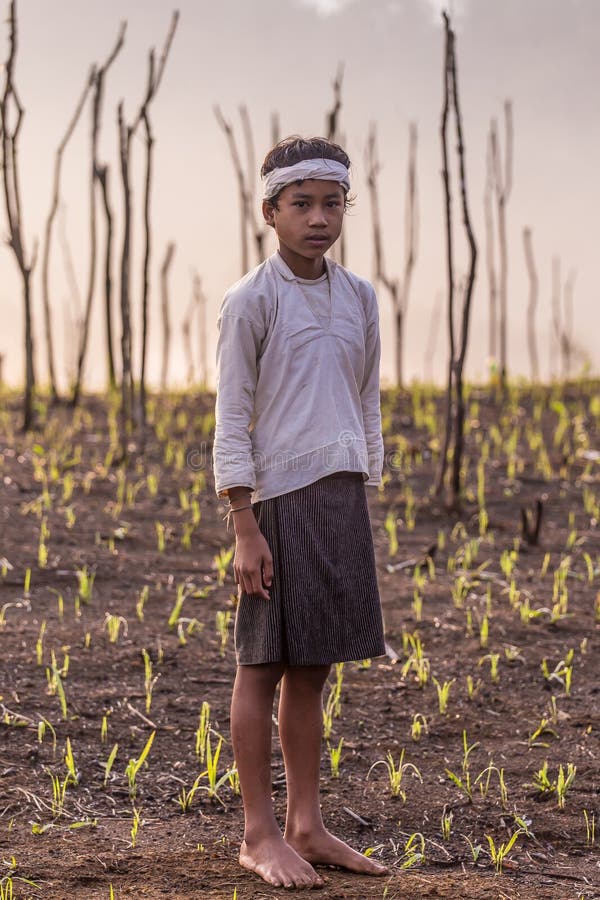 Baduy oder Badui redaktionelles stockfoto. Bild von pflege - 96091908
