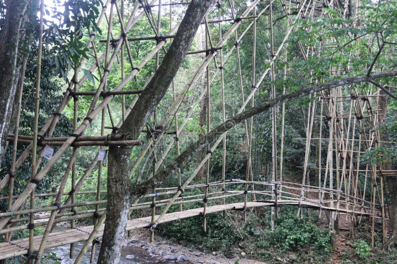 Baduy Tribe S Suspension Bridge Made of Bamboo Stock Photo - Image of ...