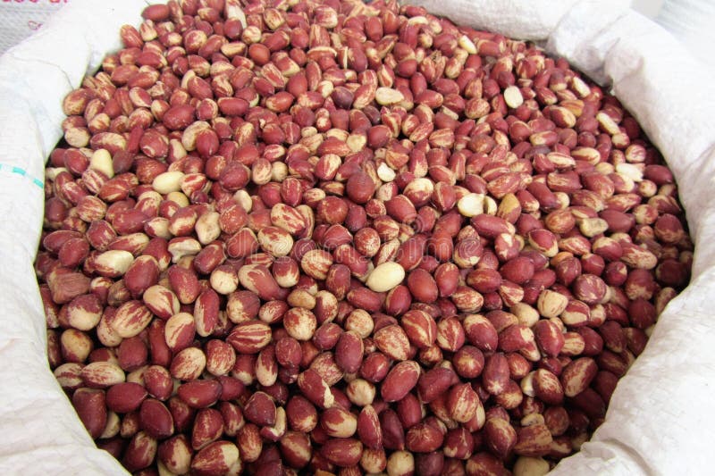 Bag of Red Beans stock photo. Image of produce, pile - 77362472