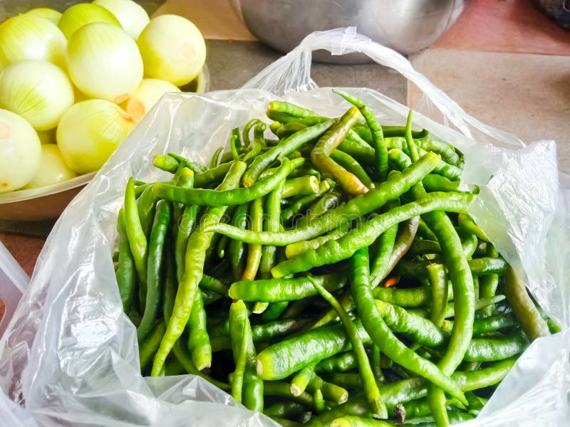 A bag of big green chilies stock photo. Image of salad - 258400700