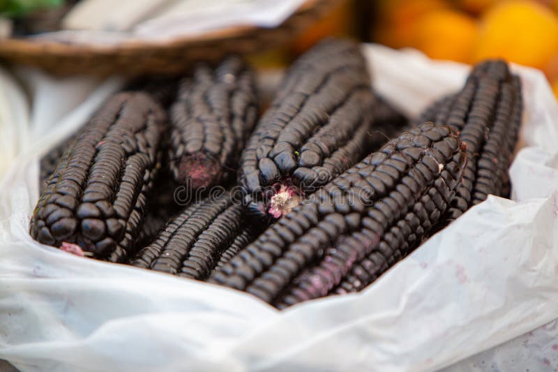 Bag of Black Corn stock photo. Image of uncooked, transgenic - 298505010
