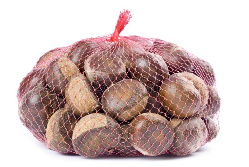 Bag of Chestnuts stock image. Image of chestnuts, nuts - 11658013