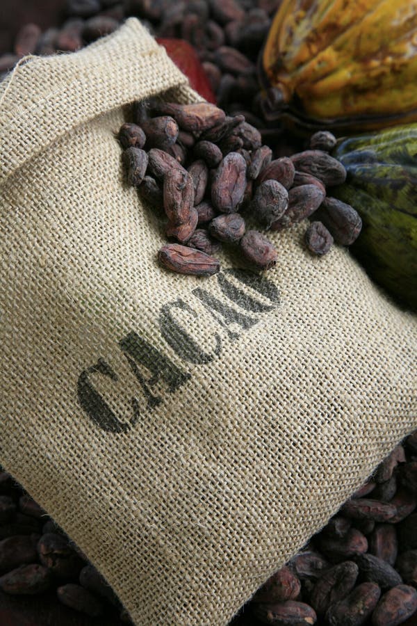 Cacao Bag stock image. Image of market, sell, cacao, fiber - 17319555