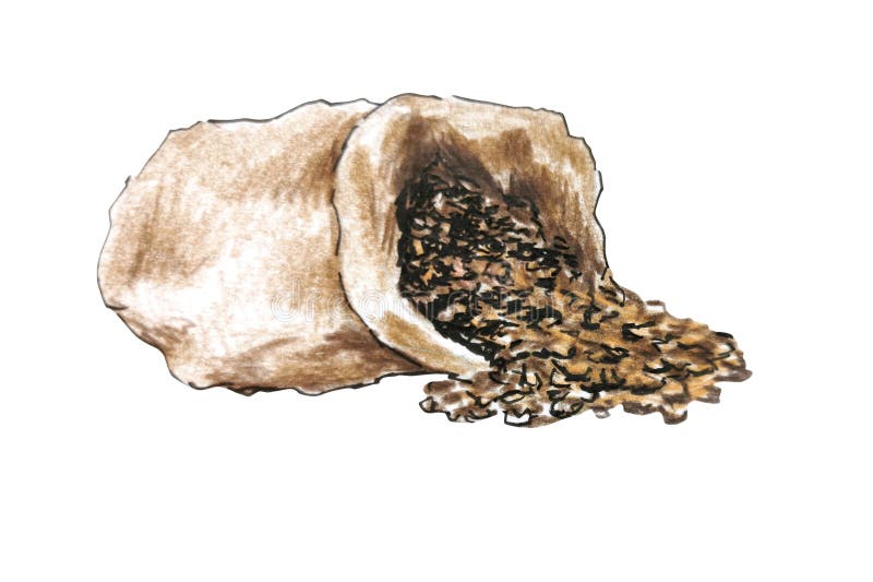 Spilled Coffee Beans Stock Illustrations – 91 Spilled Coffee Beans ...