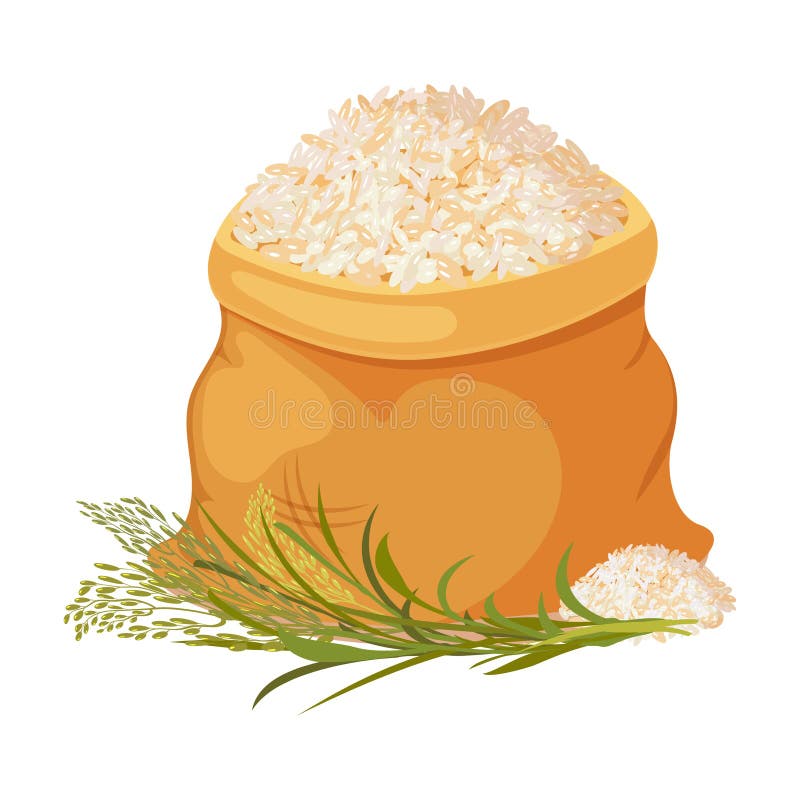 Bag Full of Rice. Harvest of Grain Crops with Ears Stock Vector ...