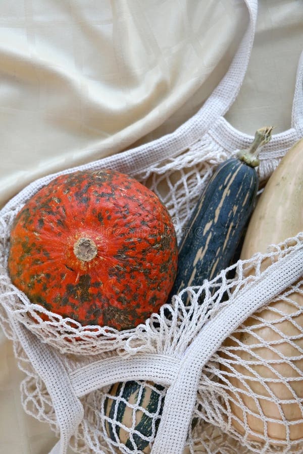Bag with Gourds stock image. Image of produce, healthy - 202499389