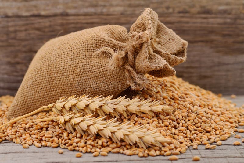 A Bag of Grain and Wheat Bran Stock Image - Image of kernel ...