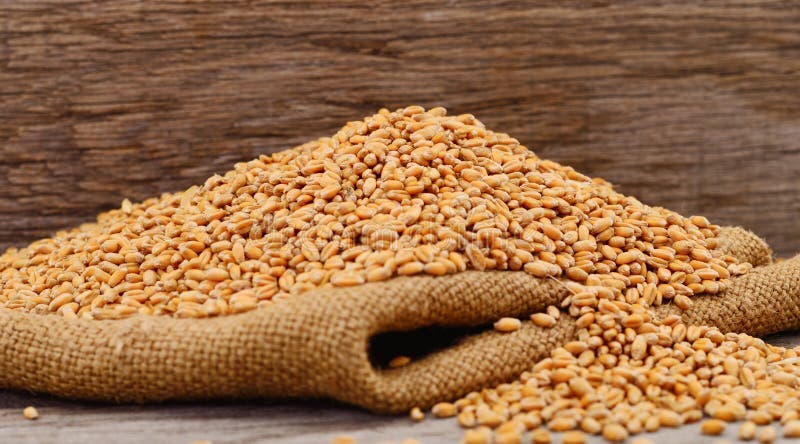 A Bag of Grain and Wheat Bran Stock Image - Image of nutritious, wooden ...