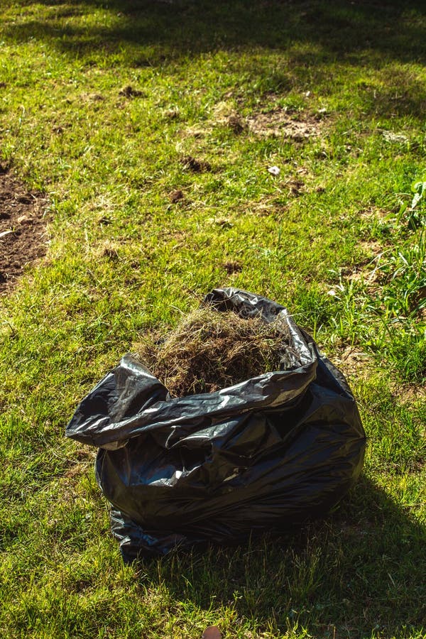 A Bag Of Grass Is Like Trash On Nature. A Park Worker Folded Dry Grass ...