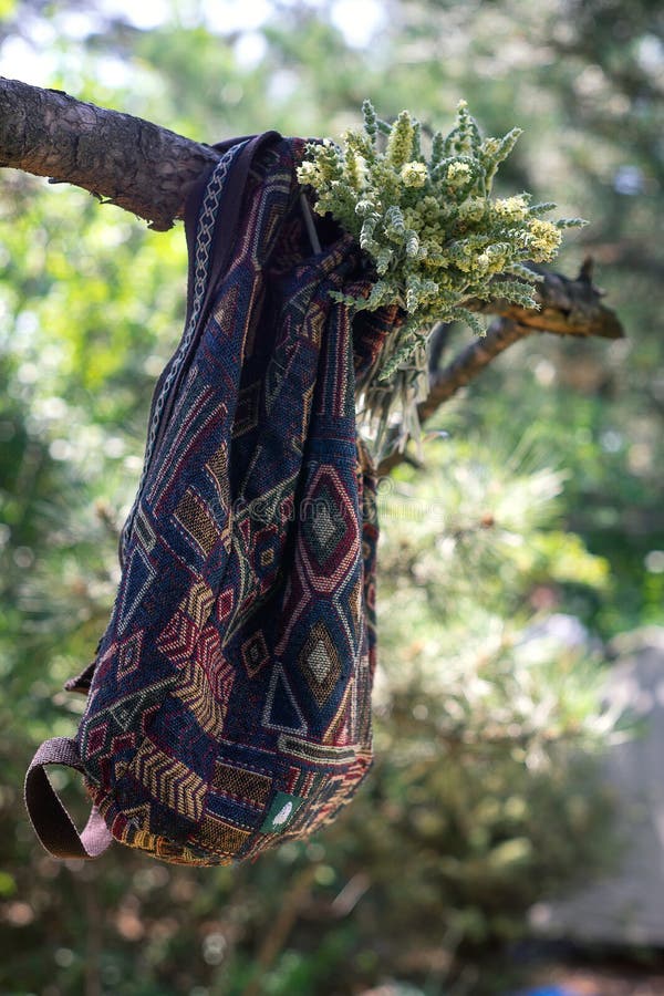 The Bag Hangs on the Tree. Traveler`s Backpack with Bouquet of Wild ...