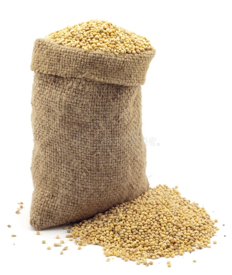 Burlap bag with grain stock image. Image of sack, farm - 21785959