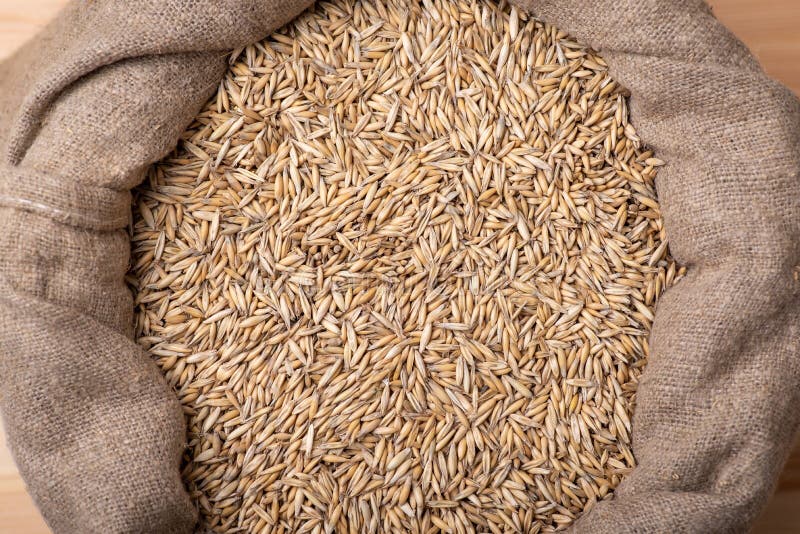 Bag of oat stock photo. Image of vegetarian, golden - 267322318