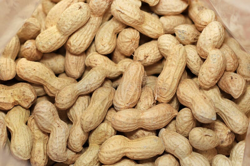 Bag of Peanuts stock image. Image of nylon, vegetarian - 207869555