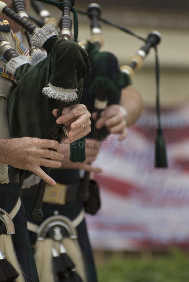 Single ear of oats stock image. Image of growing, harvest - 6239489