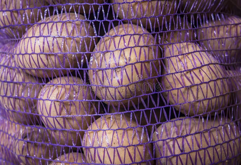 Potatoes in the Mesh Bags from a Market Stock Photo - Image of farm ...