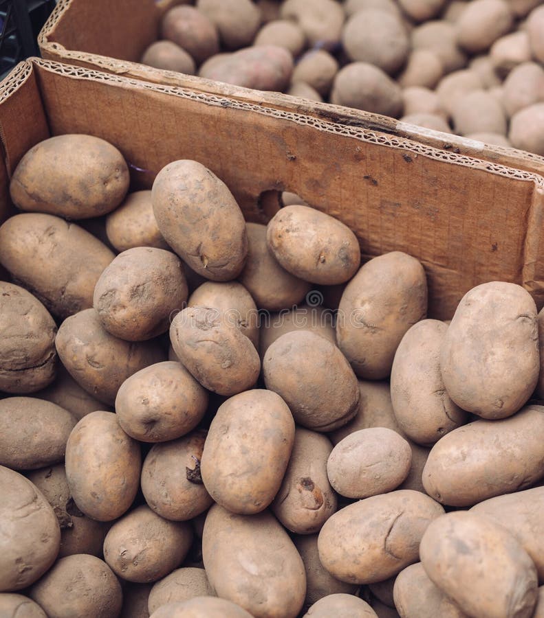 A Bag of Raw and Dirty Potatoes. Fresh Potatoes Close-up in a Grid ...