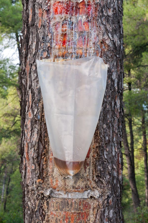 Bag of Resin stock photo. Image of collect, wood, liquid - 22264750