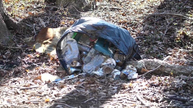 Bag of Trash Discarded in the Forest Floor Stock Footage - Video of ...