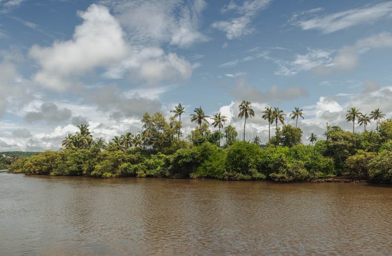 Baga River in Goa, Flowing in the Area of the Same Name Baga. Stock ...