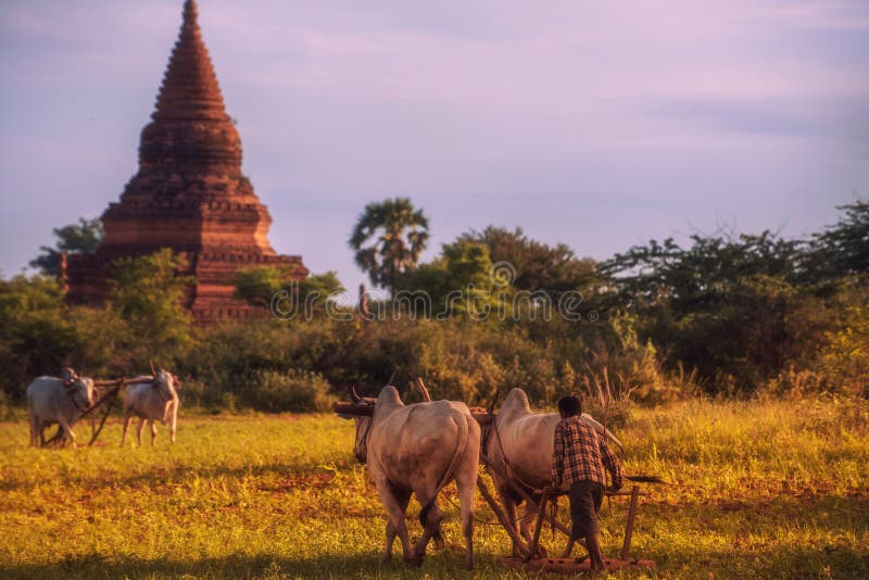 Bagan, Myanmar image stock éditorial. Image du restauration - 102486134