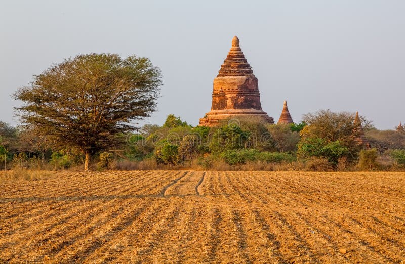 Bagan - Pagoda in the Field Stock Photo - Image of panorama, famous ...