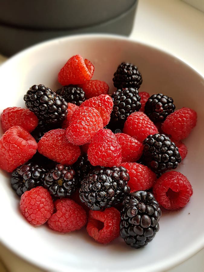 Bagas foto de stock. Imagem de beleza, planta, verde - 119395276