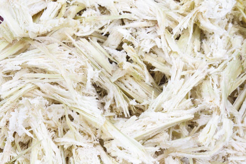 Bagasse stock photo. Image of sweet, stem, sugar, nature - 21373344