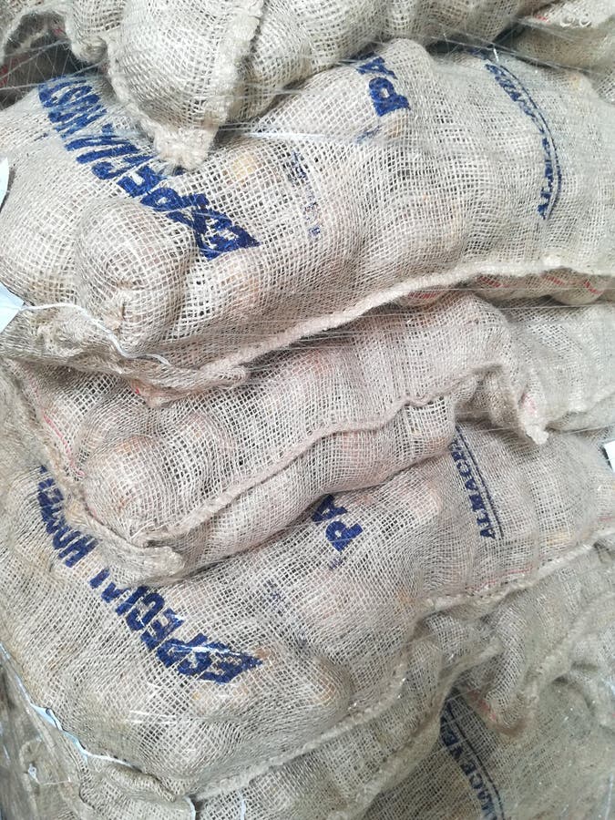 Bagged potatoes stock image. Image of potatoes, bagged - 99364129