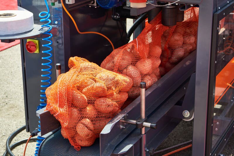 Bagging Machine for Vegetables Stock Image - Image of packing, potatoes ...