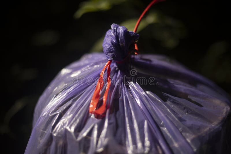 Bagging Trash in the Woods. Garbage Collection in the Park Stock Photo ...