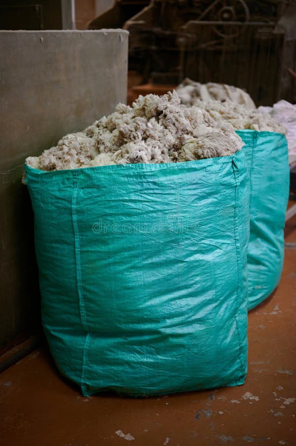 Bags Filled with Freshly Harvested Sheep Wool Ready for Processing in a ...