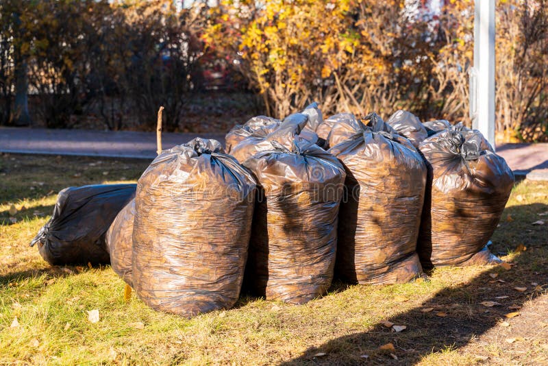 Bags of Leaves and Trash Outdoor Stock Image - Image of city, foliage ...