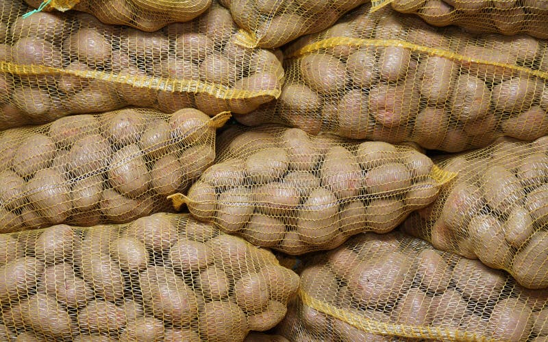 Bags with potatoes stock image. Image of potato, food - 27404023