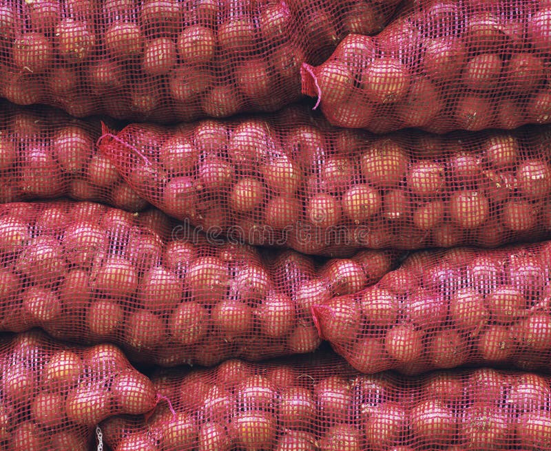 Bags of red onions stock image. Image of onions, root - 101679345