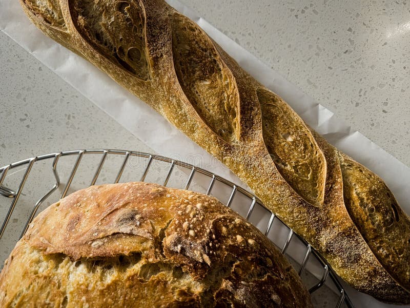 Baguette Artisan Bread on a Counter Stock Photo - Image of traditional ...