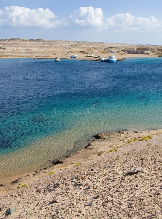 Bahía Tortuga en Egipto imagen de archivo. Imagen de vida - 36642639