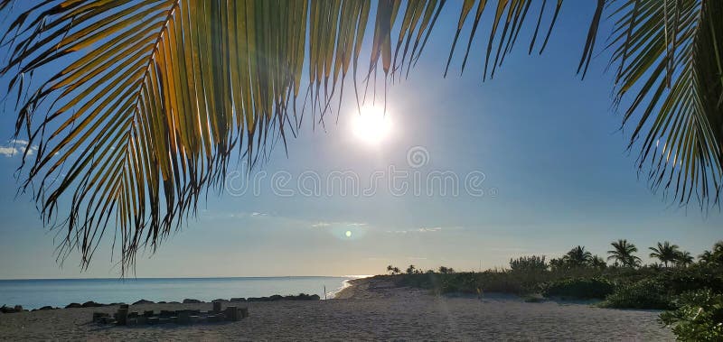 Bahamas bright sun stock photo. Image of wave, shore - 211855954
