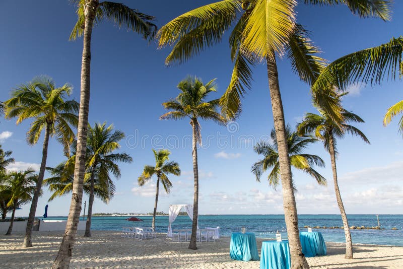 Bahamas, Cable Beach stock photo. Image of sand, resort - 116613438