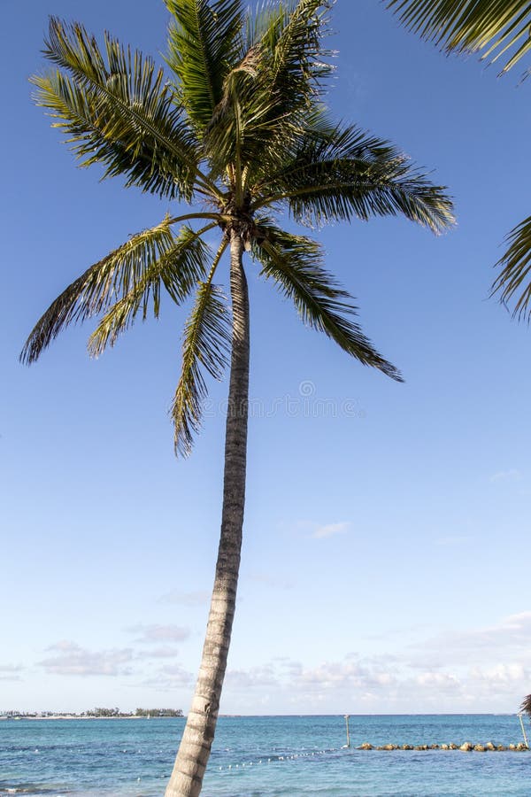 Bahamas, Cable Beach stock image. Image of summer, resort - 116613459